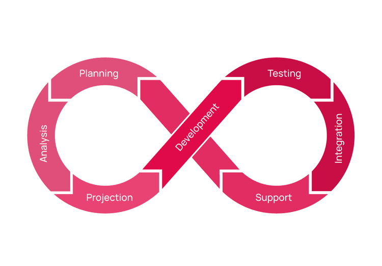 How to Organize the Software Development Process
